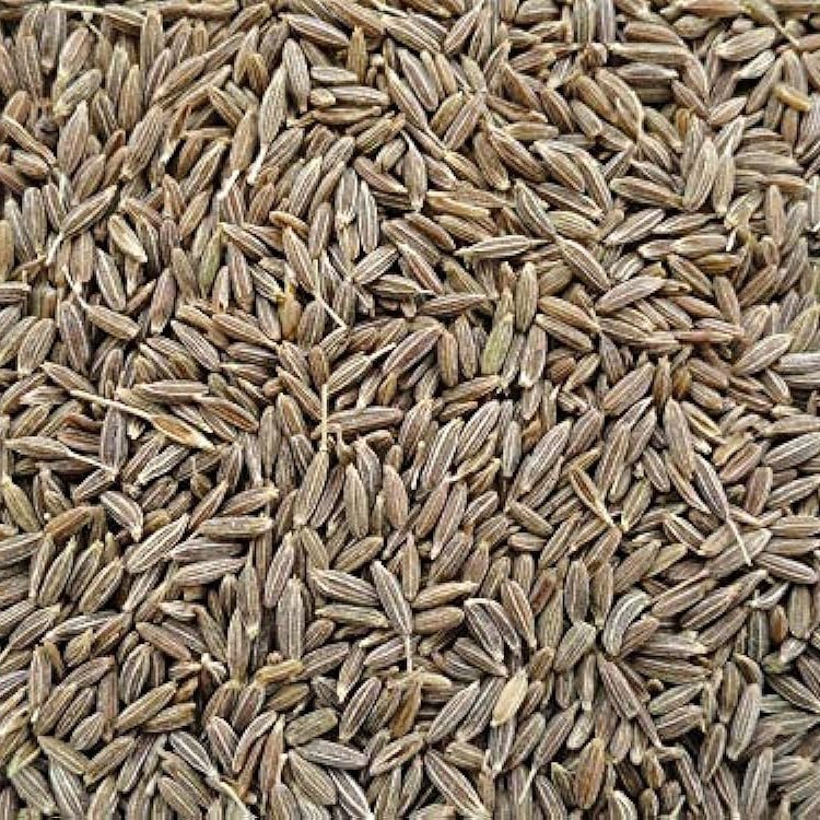 Jeera Seeds | Cumin Seeds – The Natures Palm